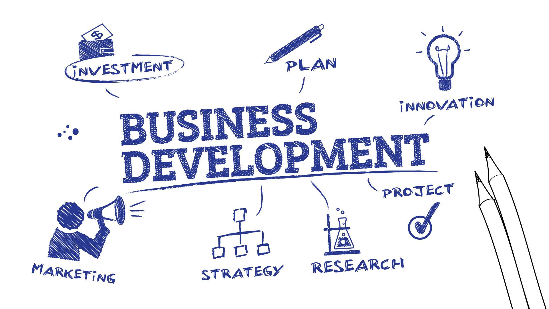 Business Development Skills to Grow Revenue and Increase Impact ...